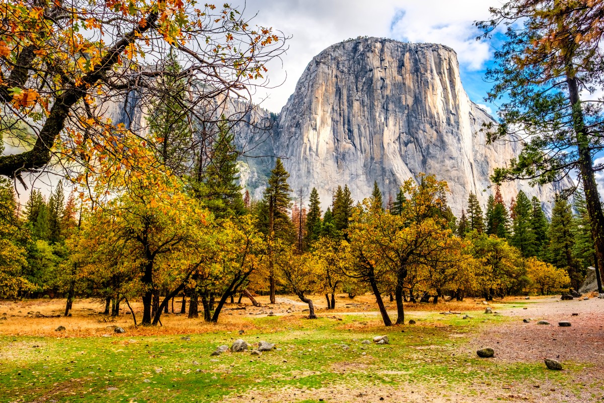 Fall in Yosemite National Park: See Autumn Colors - shoreloser